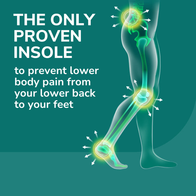 Prevent Pain Lower Body Protective Insoles – DrScholls